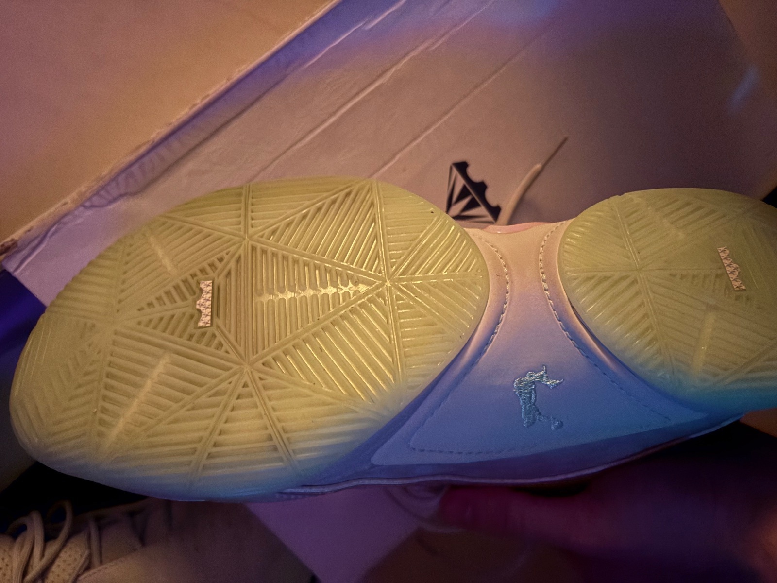 Nike LeBron 22 FZ1094-002 "Dunkman" Χαμηλά Μπασκετικά Παπούτσια Light ...