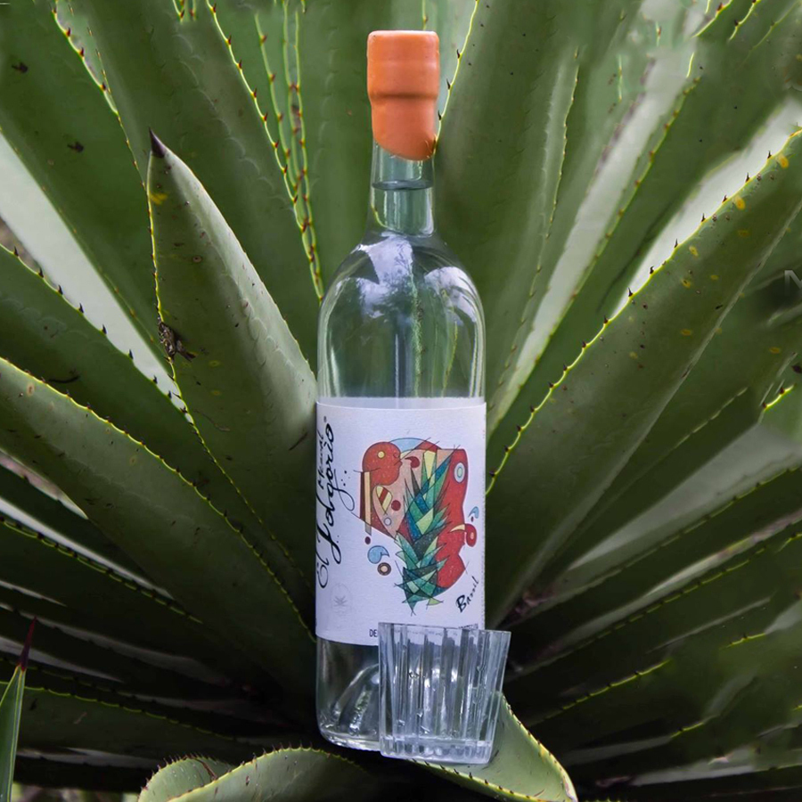 Mezcal El Jolgorio Agave Barril Τεκίλα 47% 500ml | Skroutz.gr