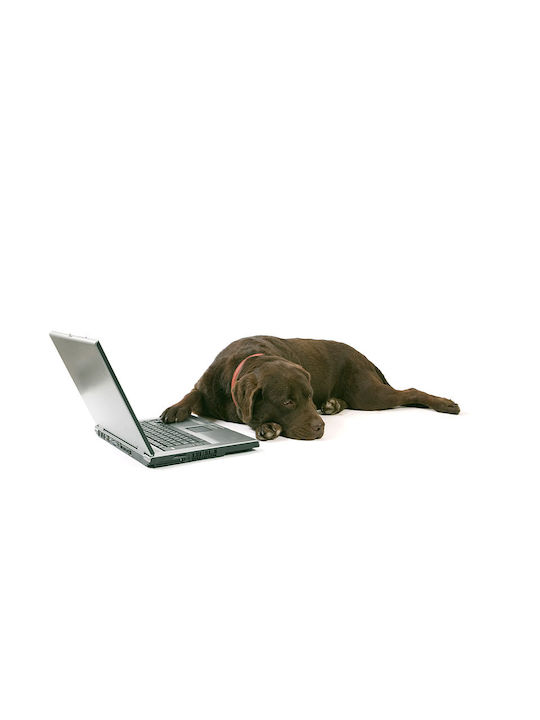 Stickerman Πίνακας σε Καμβά 100x69cm ST10001128 | Skroutz.gr