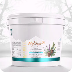 Μέλι Ελάτης, Έλατο Βανίλια | Skroutz.gr