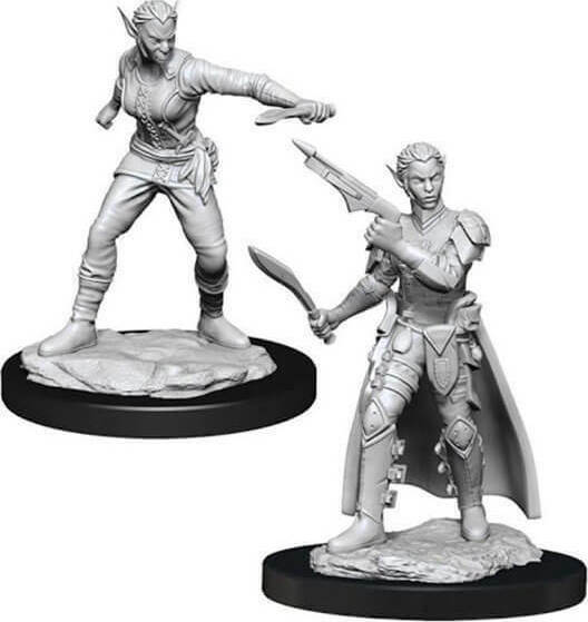 WizKids D&D Nolzur's Marvelous Miniatures : Shifter Rogue Female - Wave ...