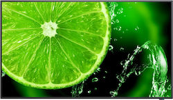 Display - MULTISYNC - Όλες οι Κατηγορίες | Skroutz.gr