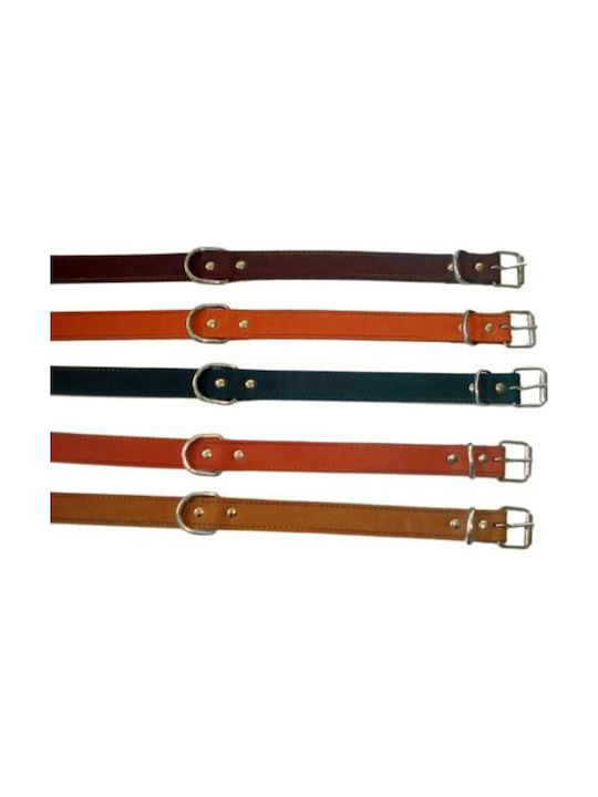 Κολάρο Σκύλου Δερμάτινο σε Πράσινο χρώμα 15mm x 40cm | Skroutz.gr