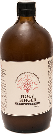Holy Ginger Αναψυκτικό Πιπερόριζας με Μέλι & Λεμόνι Συμπυκνωμένο Χωρίς ...