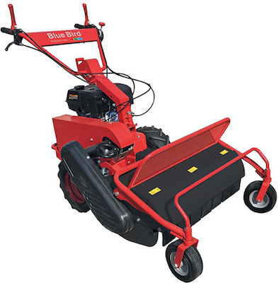 Blue Bird FM 750 Μηχανή Γκαζόν Βενζίνης 13hp | Skroutz.gr