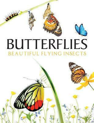 Butterflies, Beautiful Flying Insects - Julianna Photopoulos | Skroutz.gr