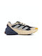 Adidas Adistar Cold.RDY HP9630 Ανδρικά Αθλητικά Παπούτσια Running Sand ...