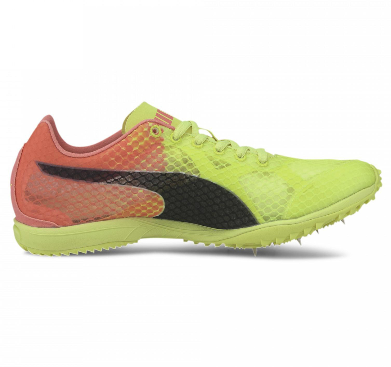 Puma Evospeed Haraka 6 192578-03 Αθλητικά Παπούτσια Spikes Πολύχρωμα ...