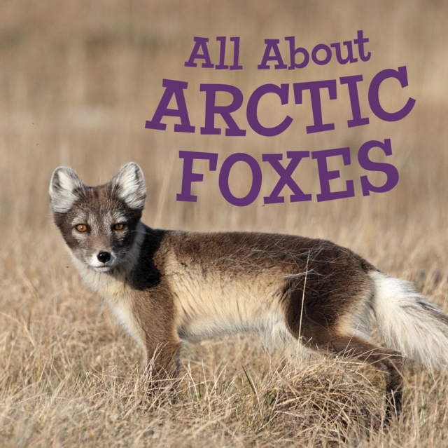 All About Arctic Foxes | Skroutz Βιβλία