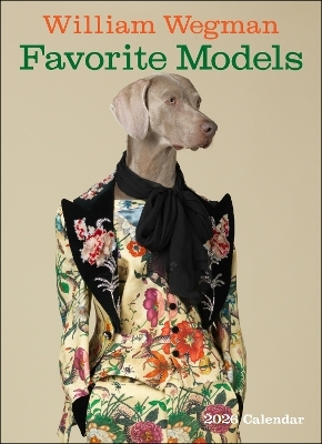 William Wegman Favorite Models 2026 Wall Calendar Abrams Calendars ...