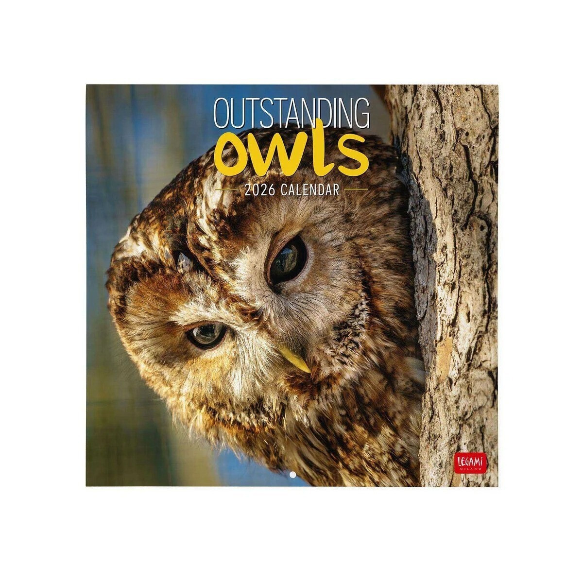 Ημερολογιο Τοιχου 2026 Legami 30x29cm Wall Calendar Outstanding Owls ...