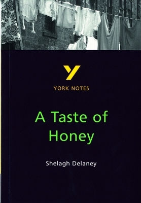 A Taste Of Honey York Notes Gcse English Literature Study Guide For ...