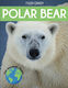 Polar Bear Fascinating Animal Facts For This Incredible Planet ...