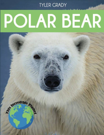 Polar Bear Fascinating Animal Facts For This Incredible Planet ...